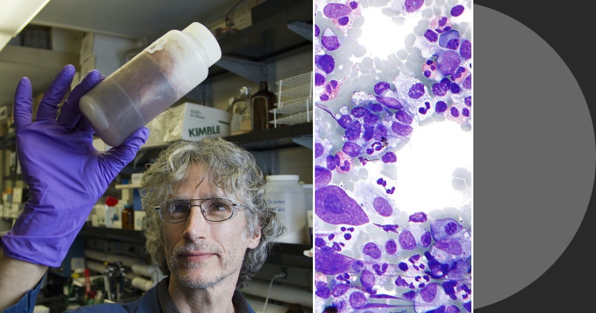 List: Epidem | Curated by Lex West | Medium