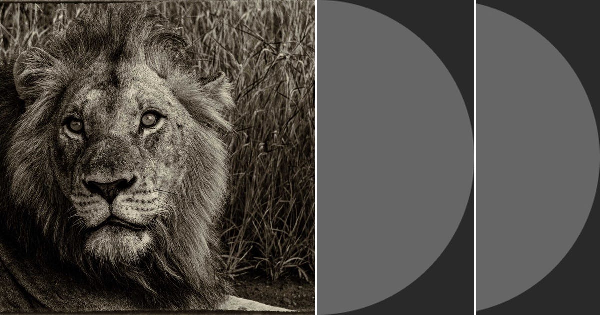 List: Faith and encouragement | Curated by Justin Marsh | Medium