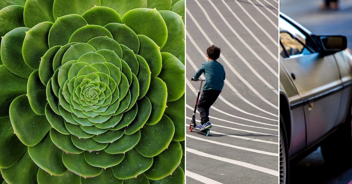 List: Time Series Forecasting | Curated by T Masahiro | Medium