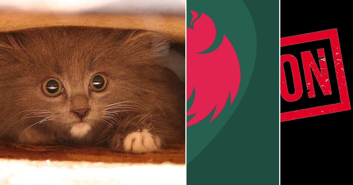 List: NestJs | Curated by Enrico Conte | Medium