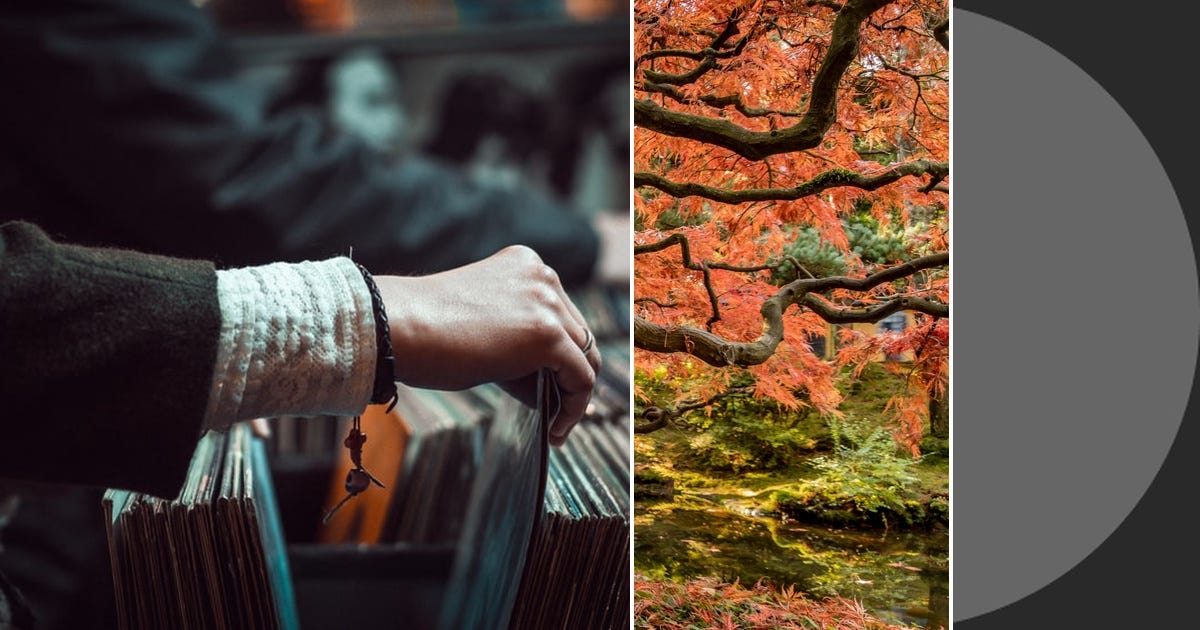 List: Feature Selection | Curated by Chanyaren | Medium List: Feature Selection | Curated by Chanyaren | Medium