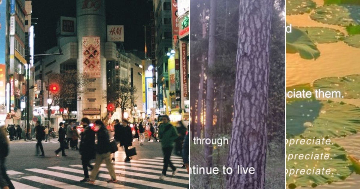 List: chuchu | Curated by Kimberly Casaklang | Medium