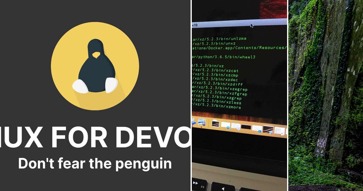 List: New job | Curated by Karolina Ryba | Medium