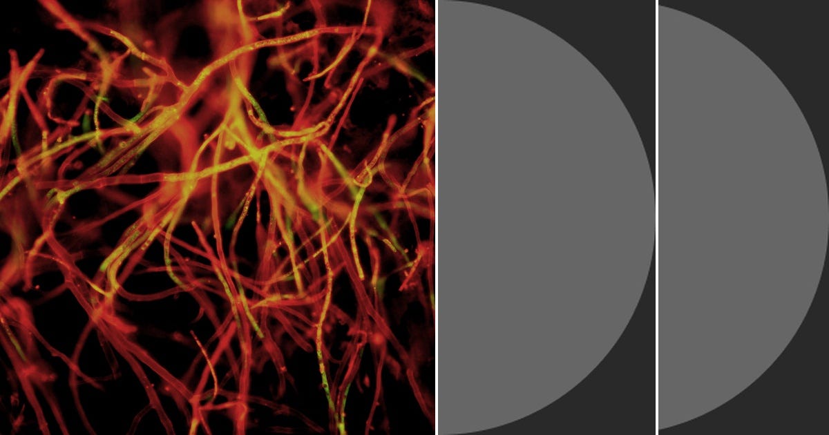 List: Future | Curated by olew | Medium