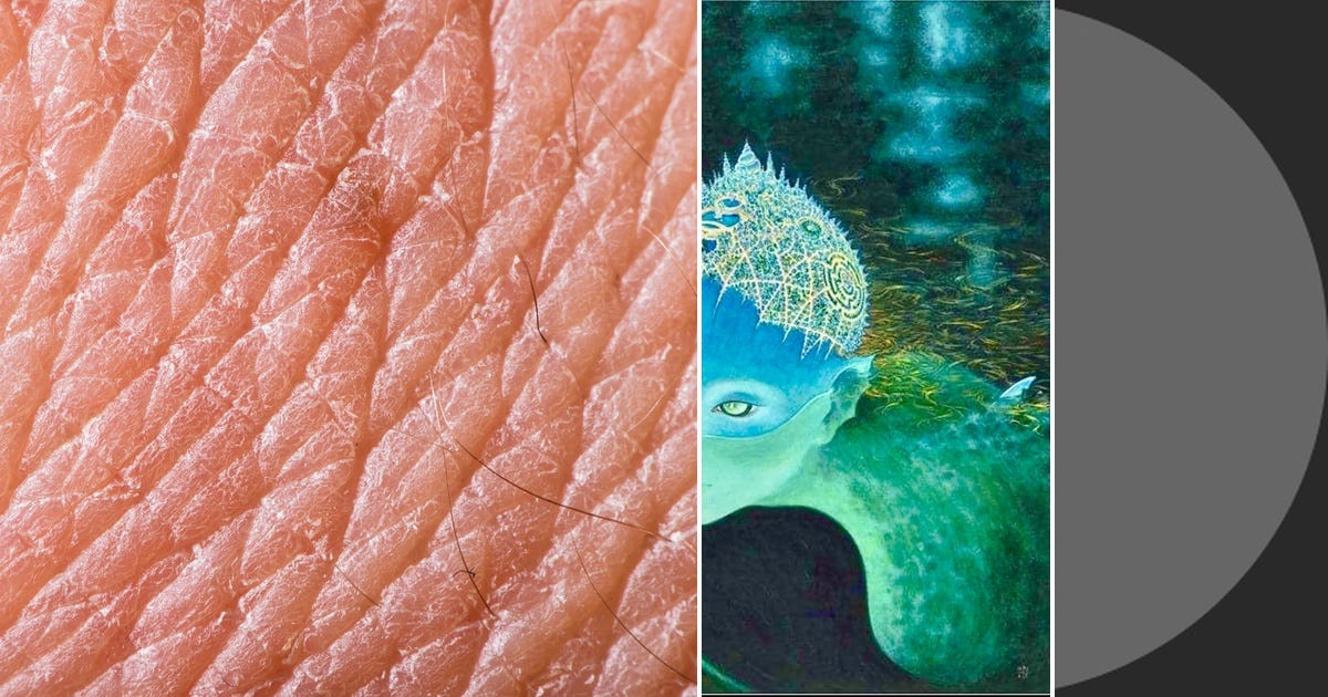 List: Psychedelic | Curated by Jed Reisner | Medium