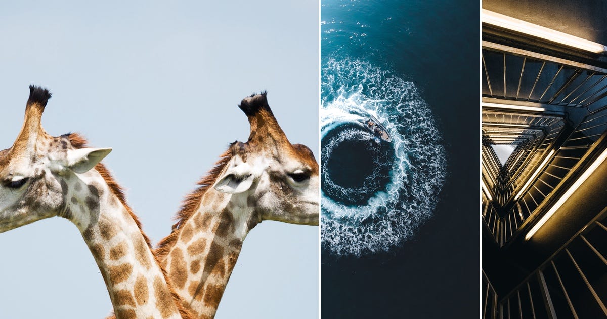 List: Sql | Curated by Bitan Sarkar | Medium