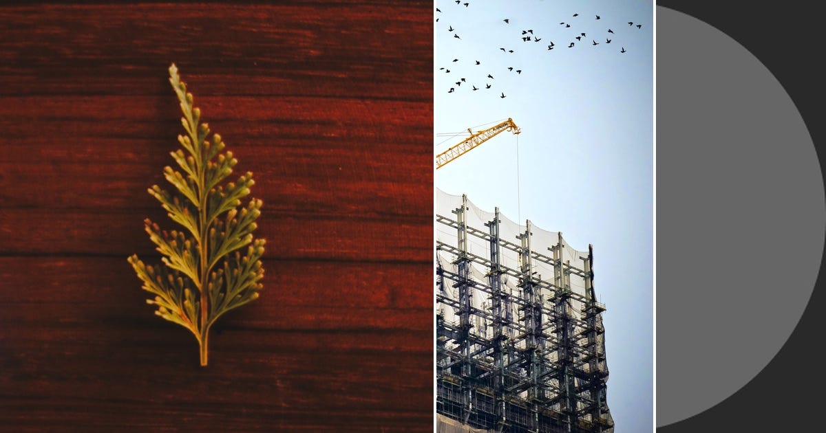 List: react | Curated by John Moen | Medium