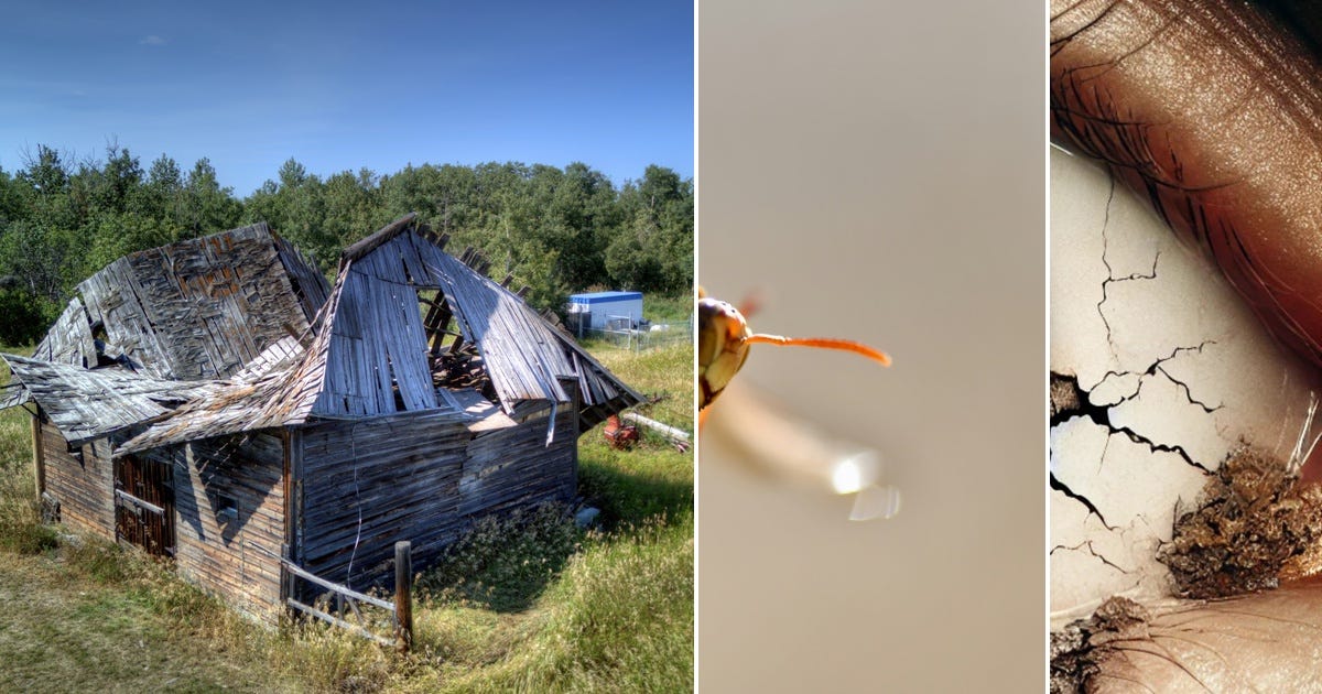 List: CLIMATE | Curated by Richard Gammons | Medium