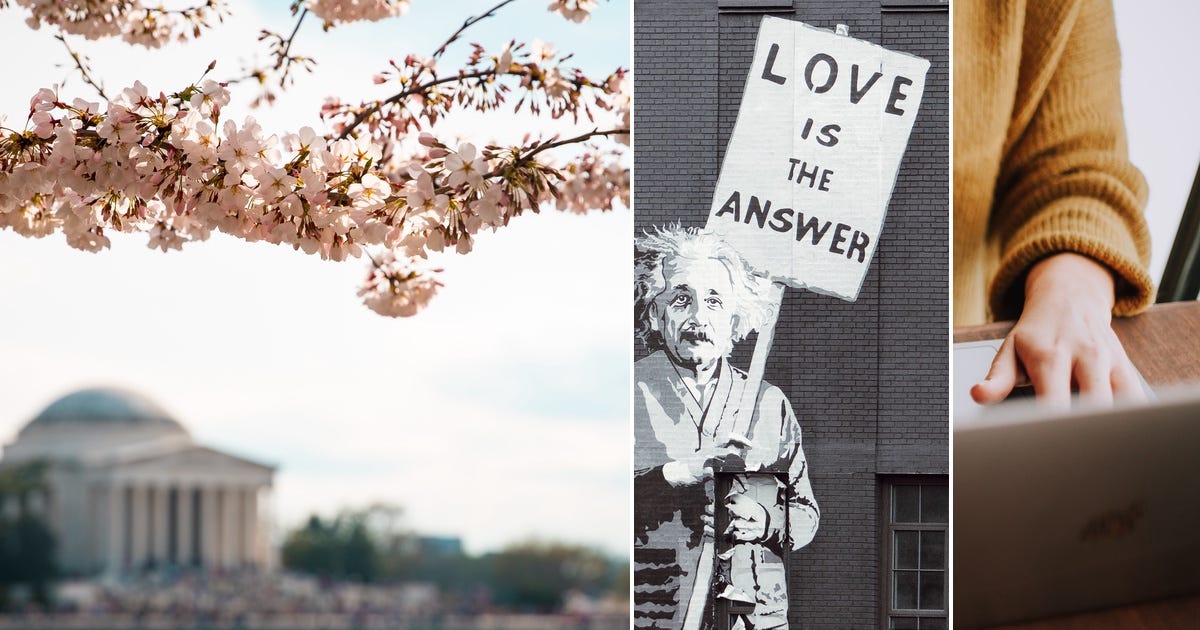 List: SEO | Curated by Trudy Perez | Medium