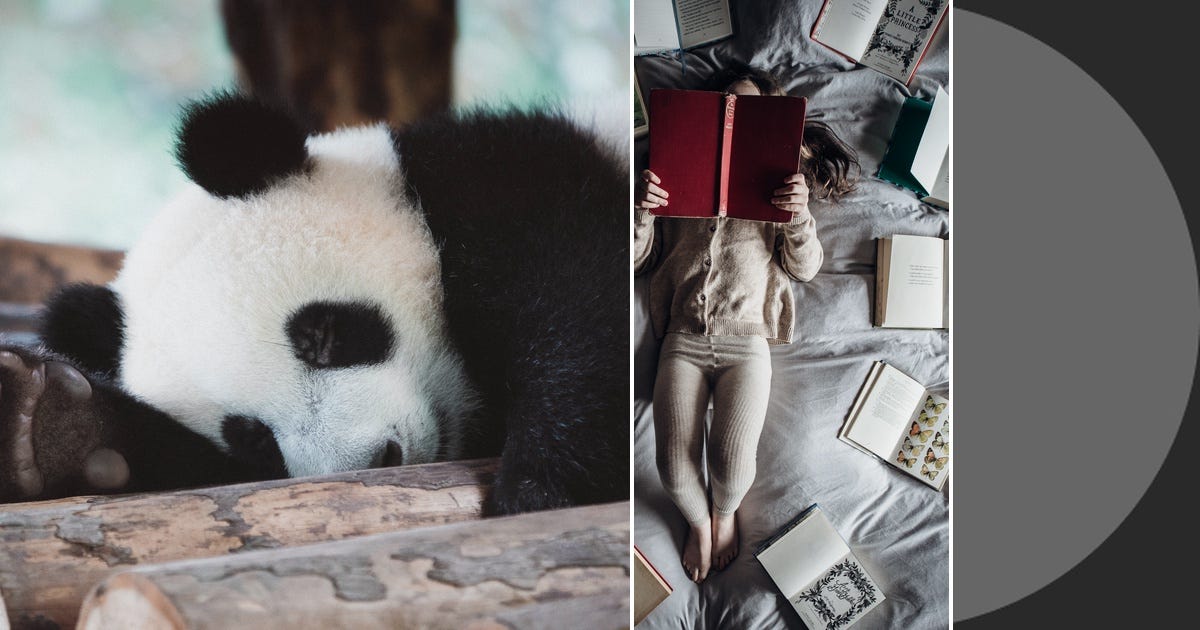 List: Data Science Cheet Sheet | Curated by Max Pattillo | Medium