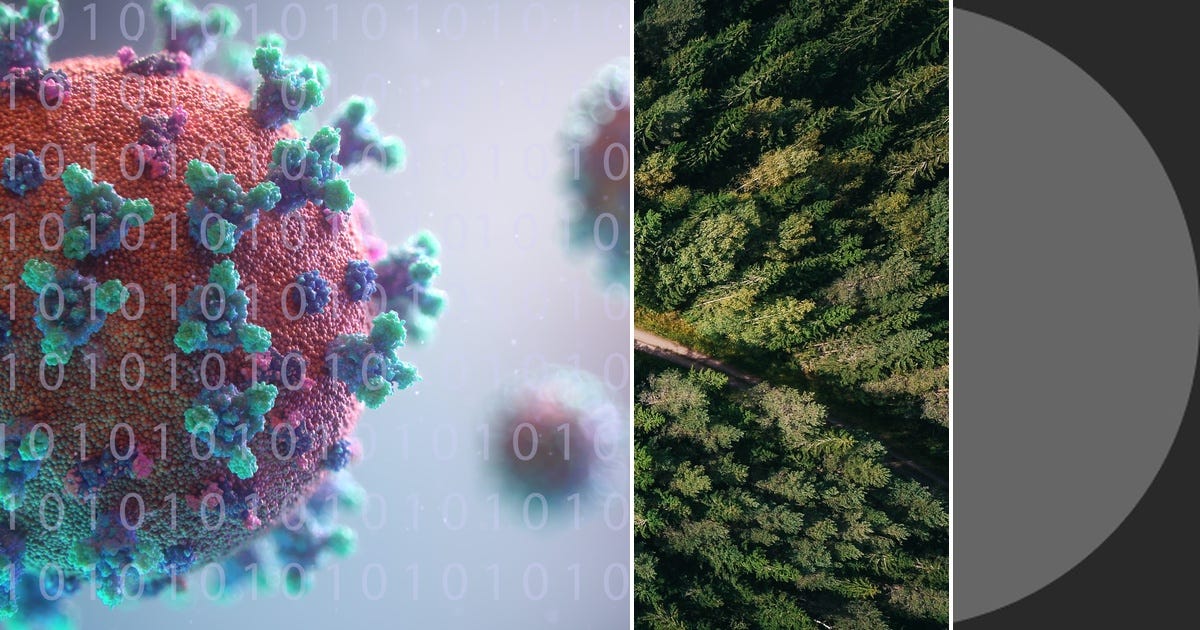 List: ml | Curated by Zoe Cloud | Medium