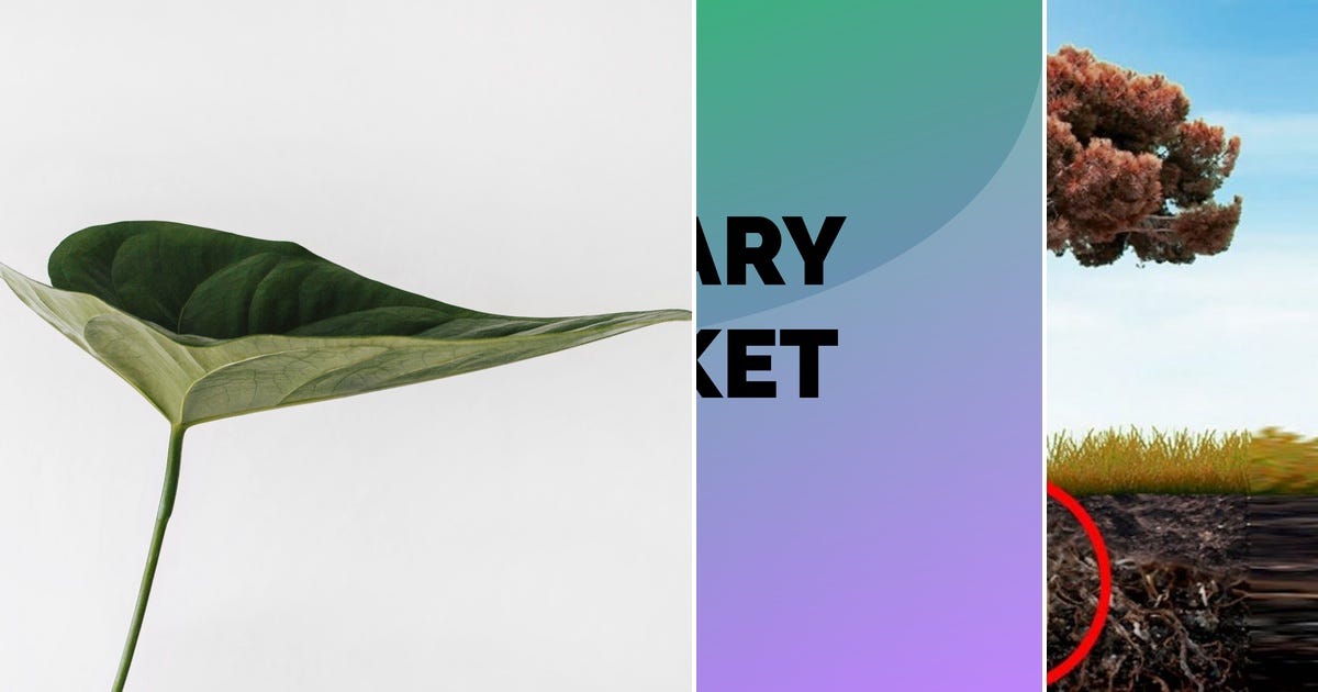 List: RegenAg | Curated by Debchaney | Medium