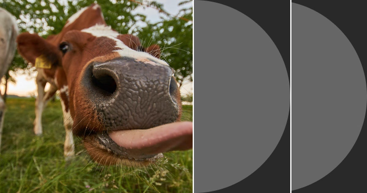 List: Plant Based | Curated by Varun Varanasi | Medium