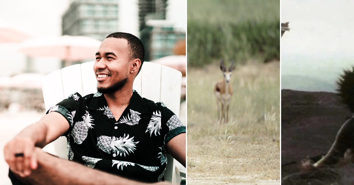 List: Big stuff | Curated by Nolan Hall | Medium