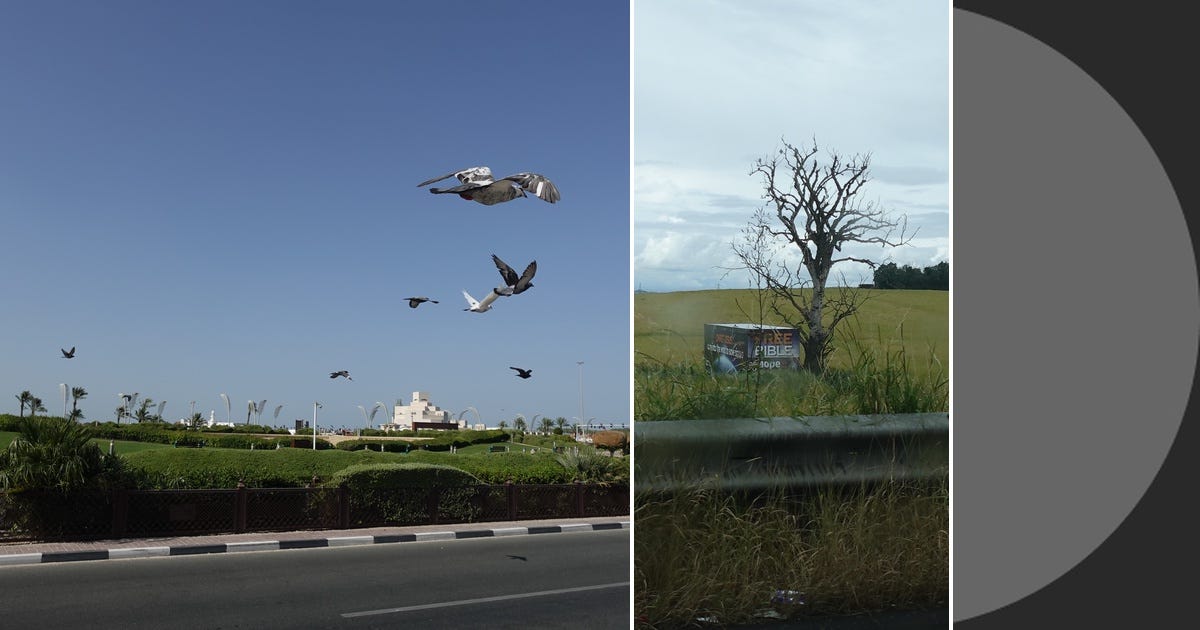 List: Liminal Summer '24 | Curated by BROWN-SIDE | Medium