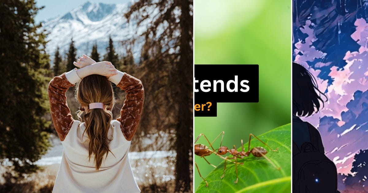 List: Dev | Curated by Chibuike Maduabuchi | Medium