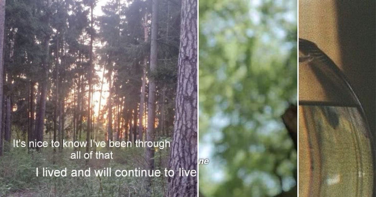 List: Solace | Curated by Daniela Joyce Ardepuela | Medium