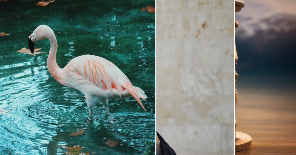 List: Positive interactions and communication | Curated by Suzi ...