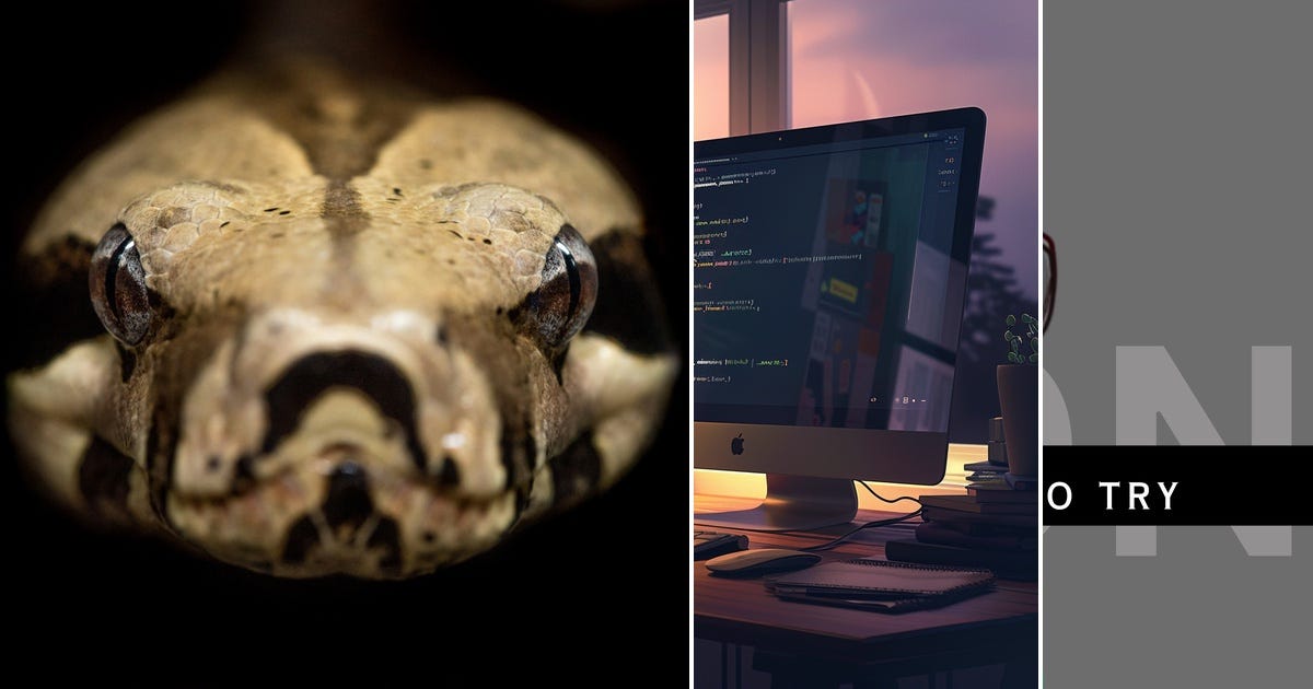 List: Python | Curated by Allison Rochelle | Medium