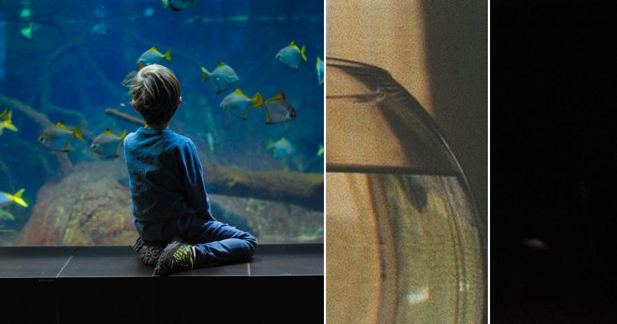 List: articles i loved | Curated by Chelsea Ives | Medium