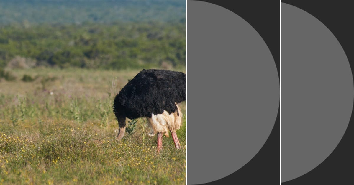 List: Project Management | Curated by Dr. Huseyin Guler | Medium