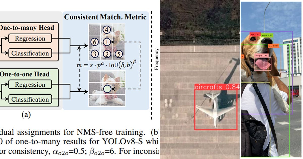 List: ZED Yolo | Curated by O Hall | Medium