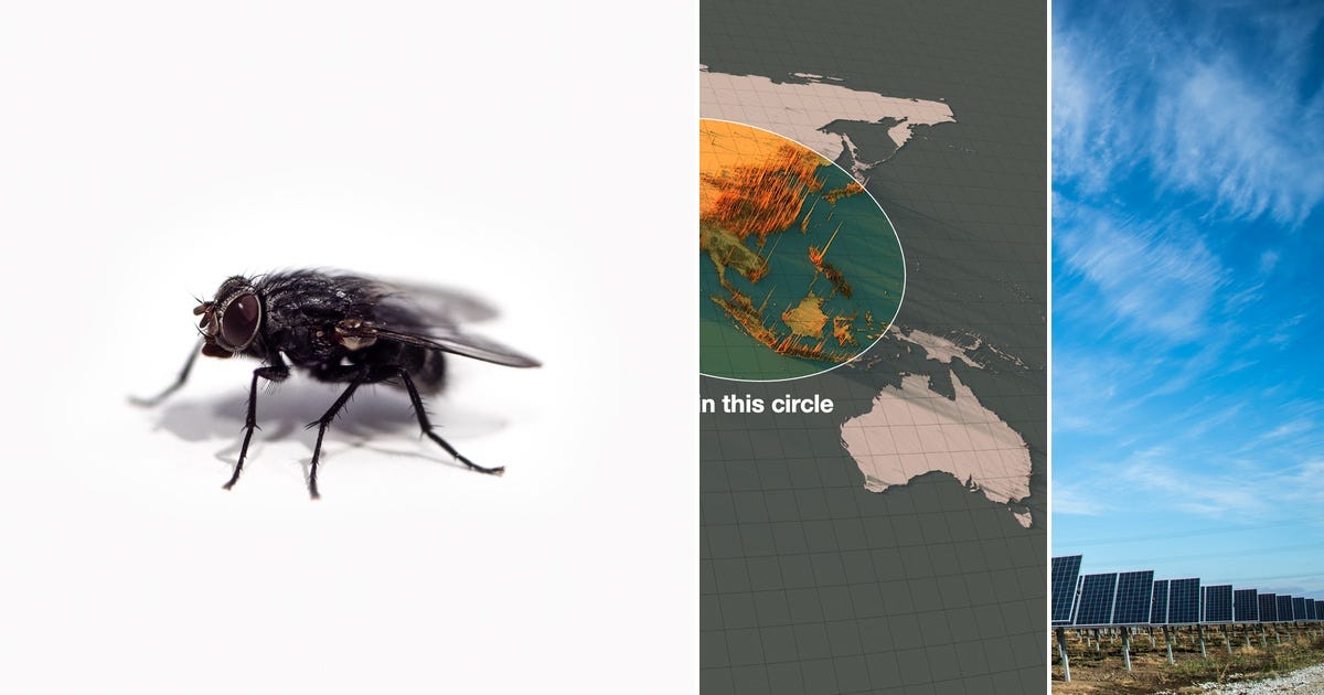 List: Environment | Curated by Jose Vega | Medium