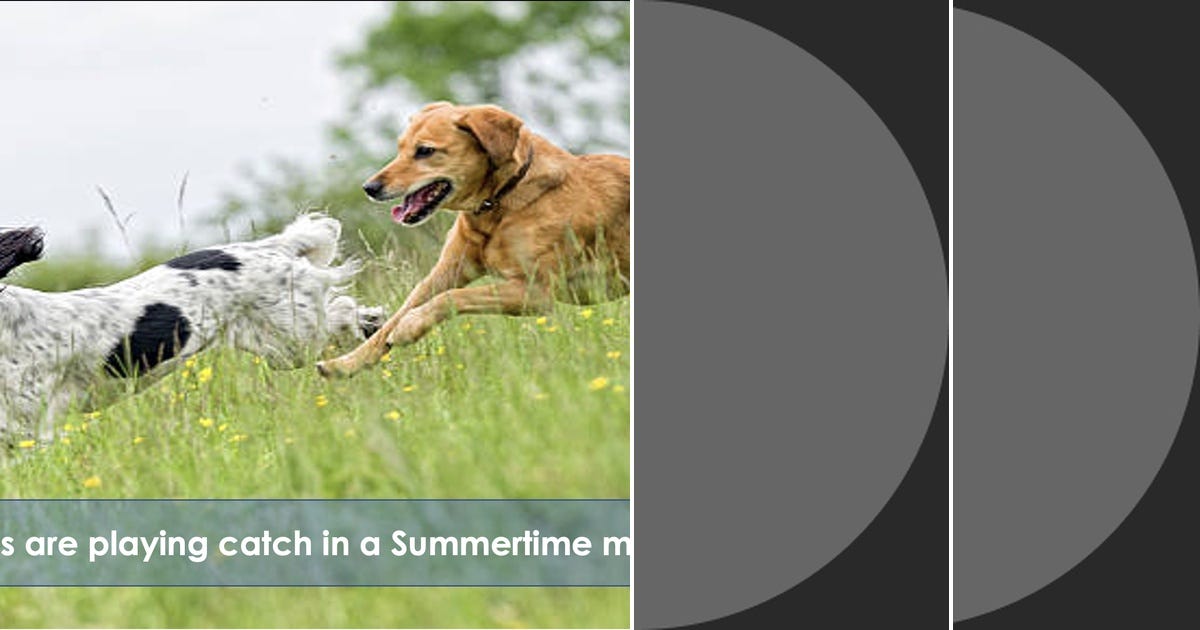 List: Vision | Curated by Shrey Jain | Medium