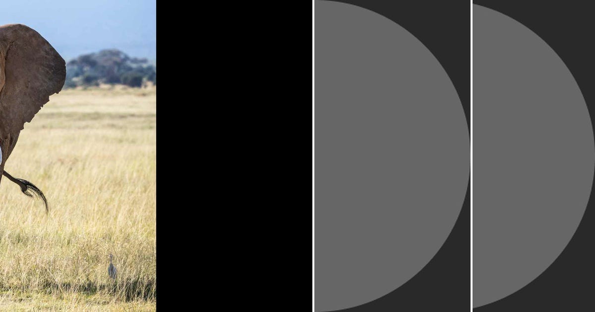 List: Computer Vision | Curated by Clinton Aikhu | Medium