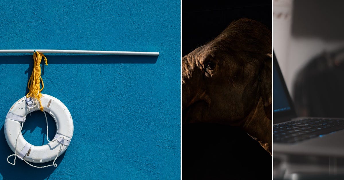 List: POSTGRES | Curated by PABLO LEWIN, PMP | Medium