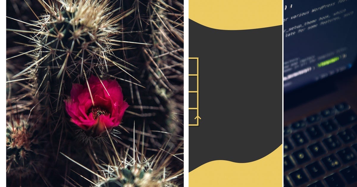 List: Finetune / Domain adapt | Curated by Max Boholm | Medium