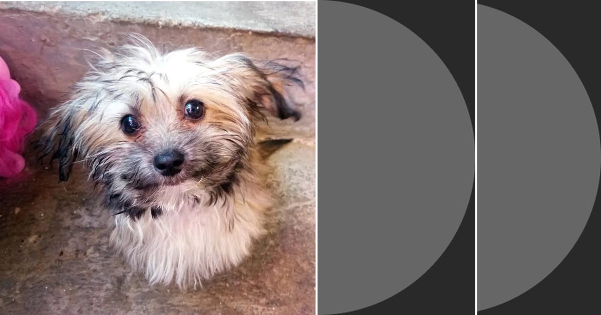 List: poesía | Curated by Lua Noire | Medium