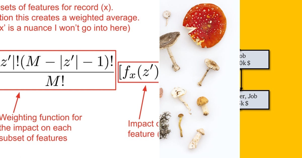 List: XAI | Curated by Jorjhan Leal Ortiz | Medium