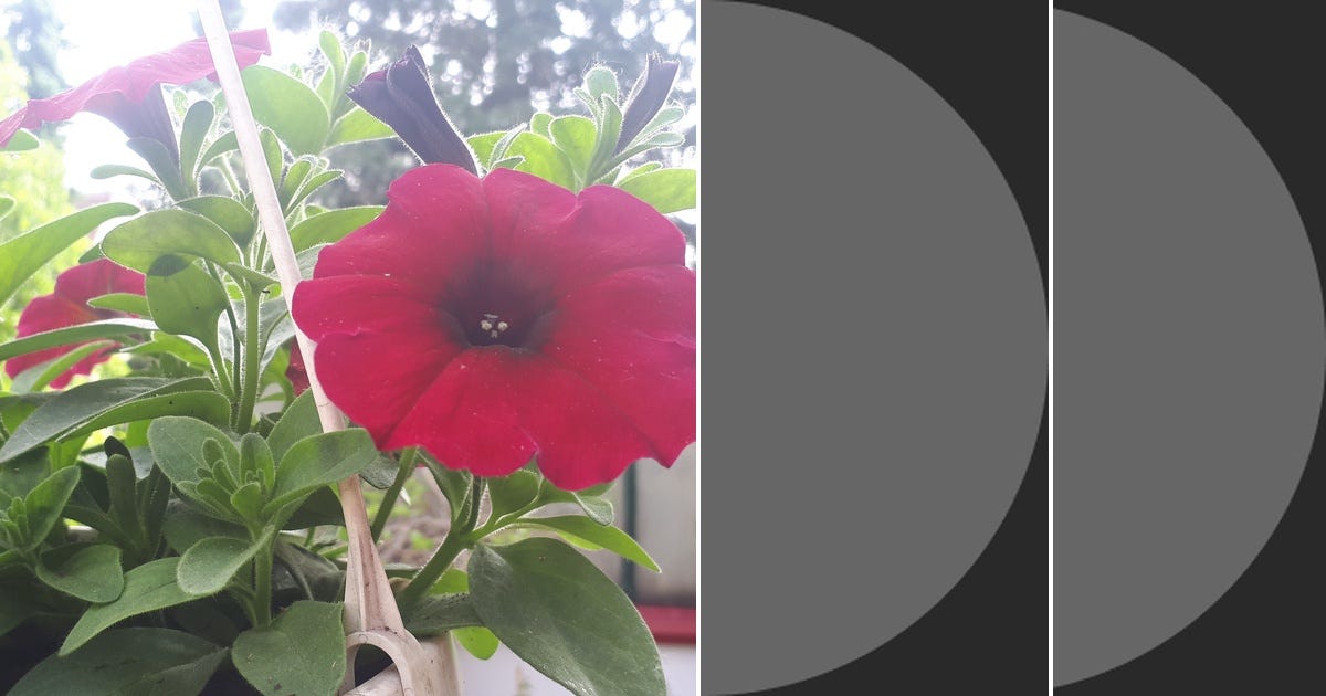 List: work and thoughts | Curated by Renate Jacobsohn | Medium