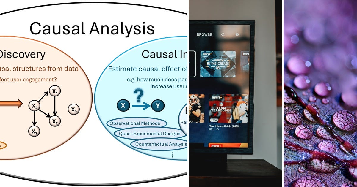 List: Causal | Curated by Mohammad Hamidian | Medium