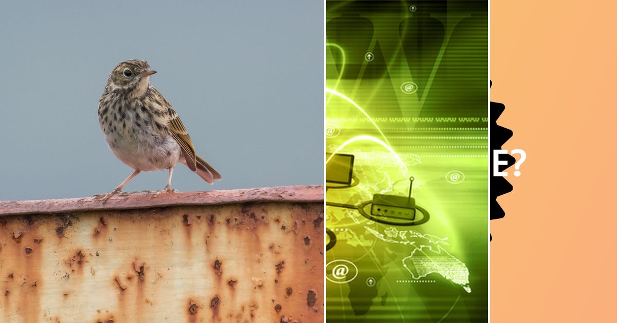 List: Rust | Curated by Valery Stepanov | Medium