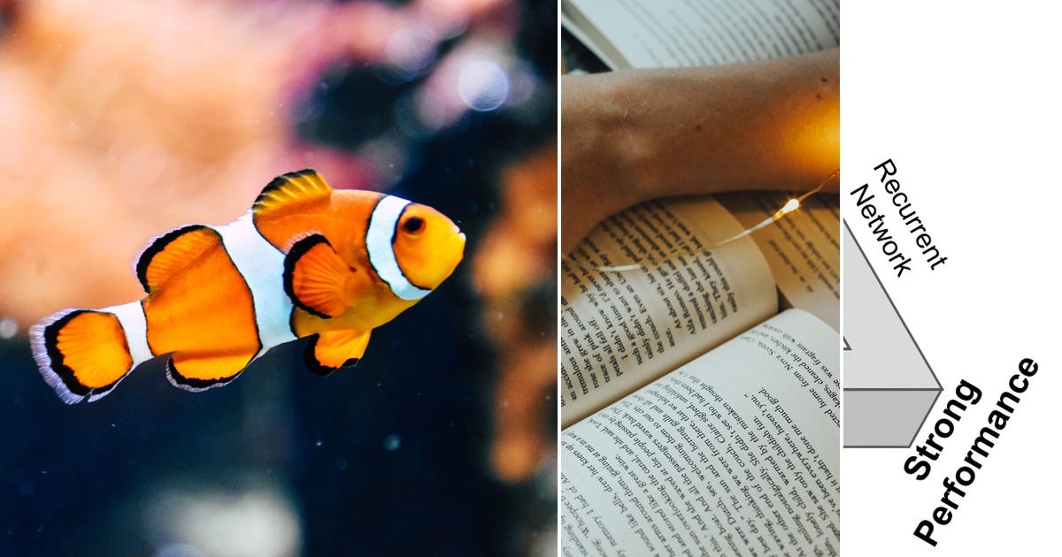 List: NN training | Curated by Marius | Medium