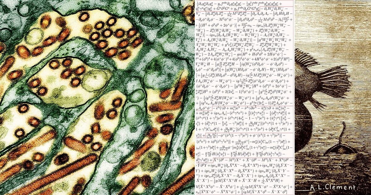 List: Science Stuff | Curated by Laurel W | Medium