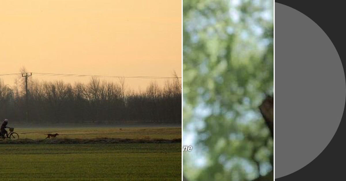 List: For later | Curated by Sof | Medium