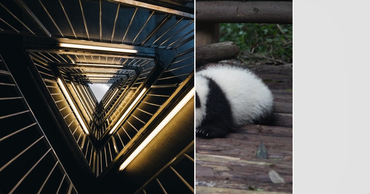 List: Python | Curated by François-Xavier Michaud | Medium