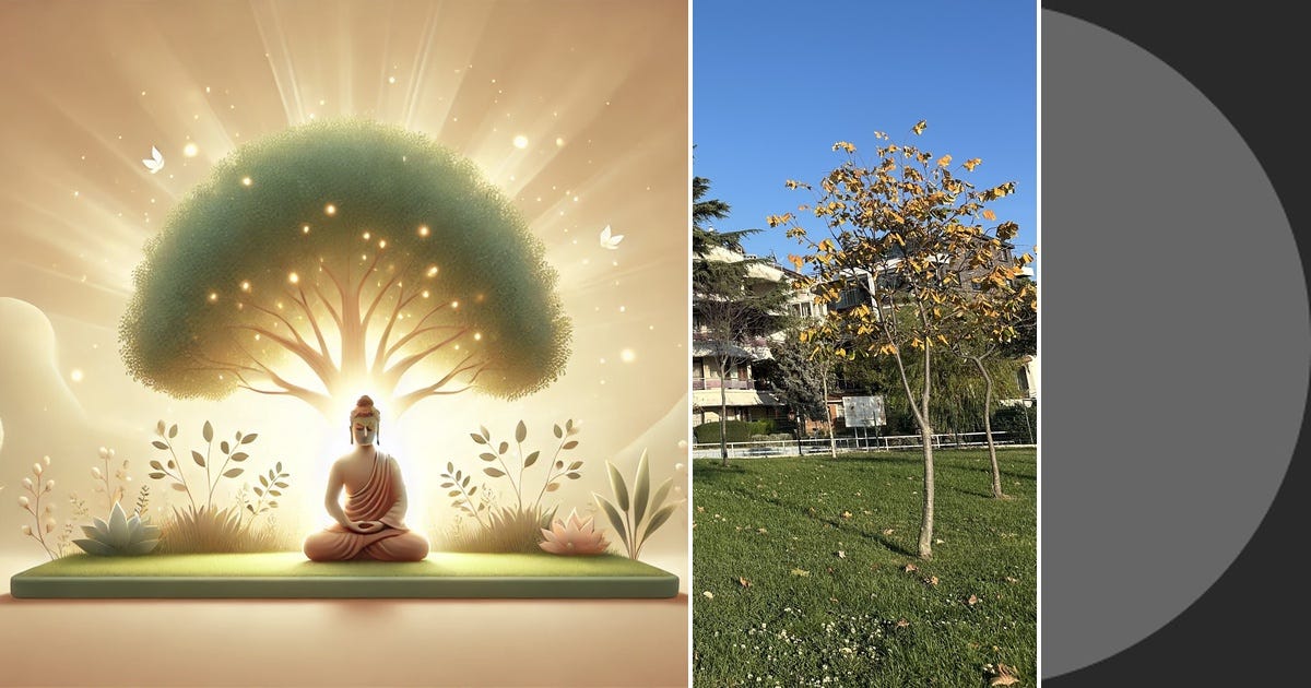 List: Bulutsular | Curated by bal bocegi | Medium