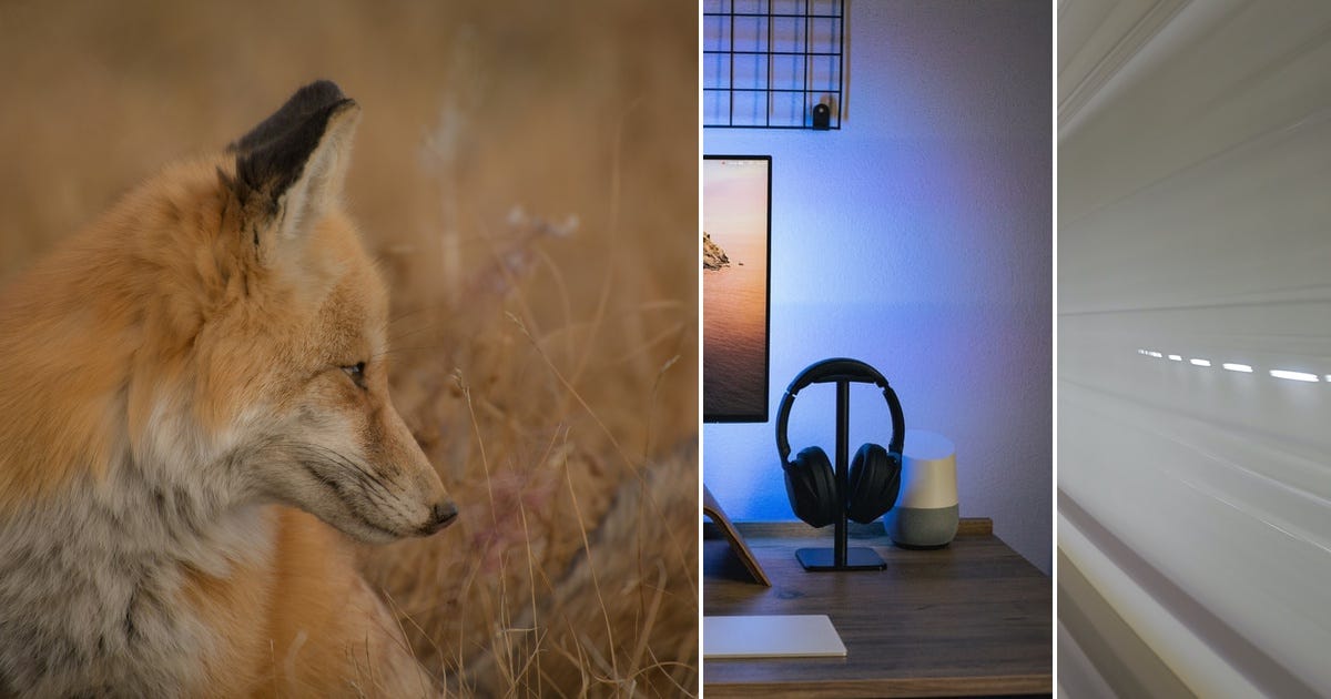 List: Pandas | Curated by Rumman | Medium