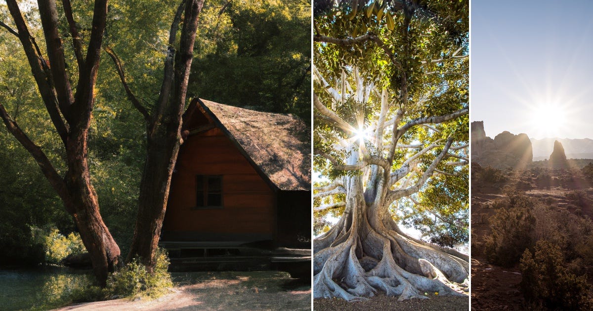 List: Nature books | Curated by Willow Greenfield | Medium