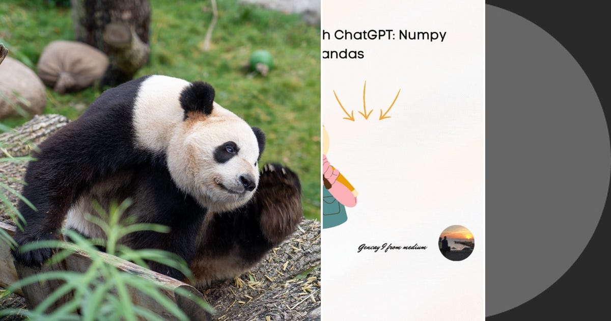 List Exploring Data With Chatgpt Numpy And Pandas Curated By Tolu 3077