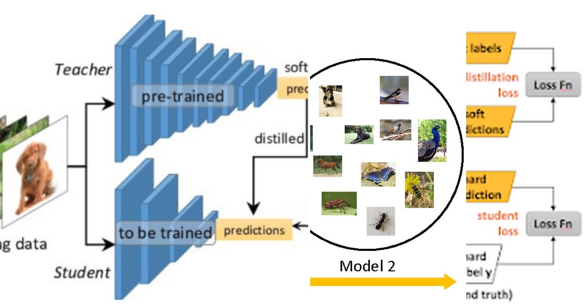 List: knowledge distill | Curated by Yxqlamb | Medium