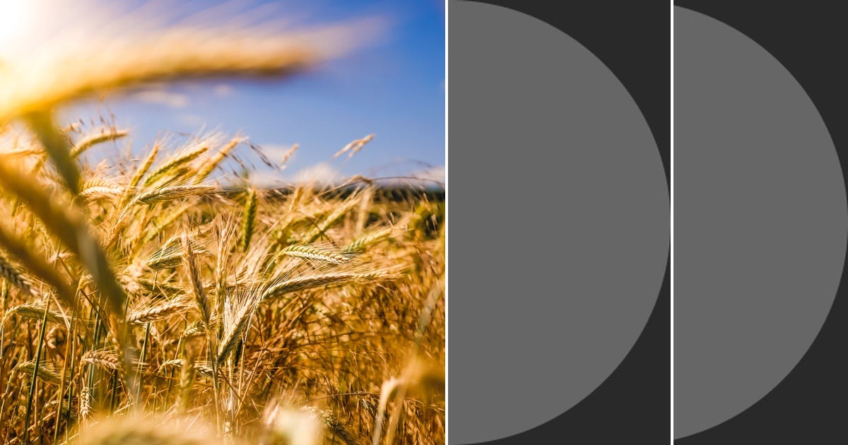 List: Life lesson | Curated by Leza S | Medium