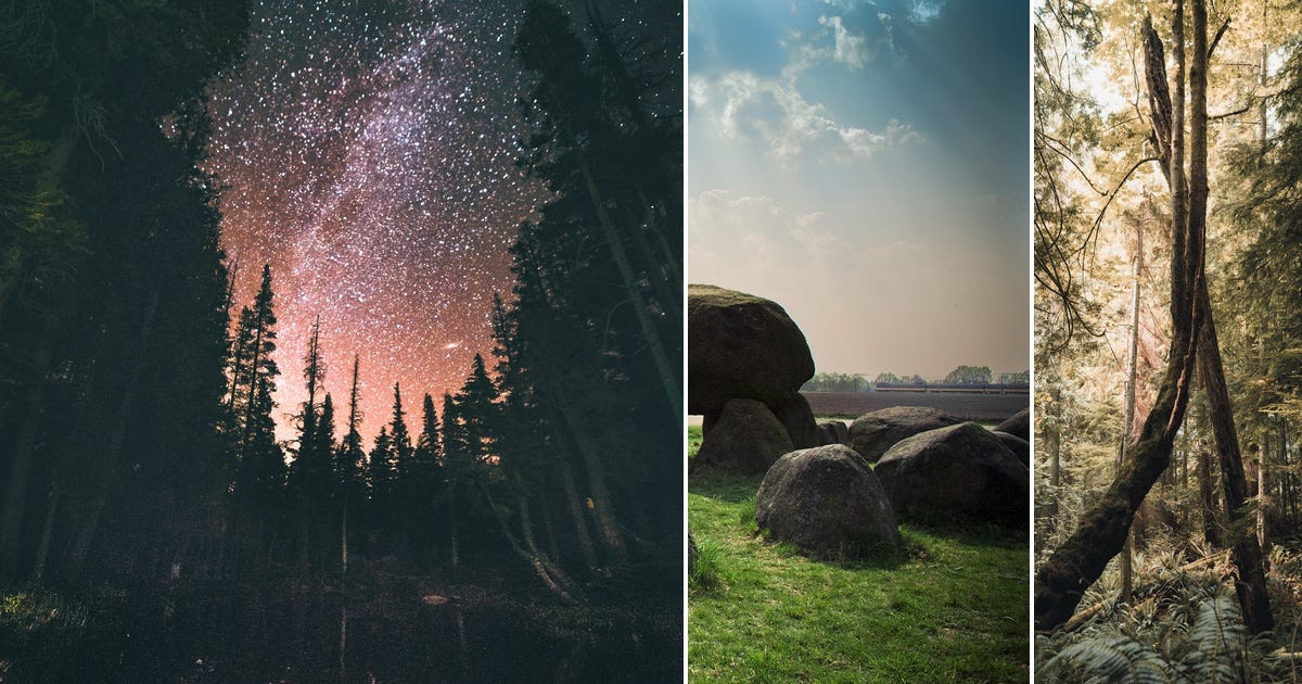 List: Quantum Physics and Evolution | Curated by Tim Essenburg | Medium