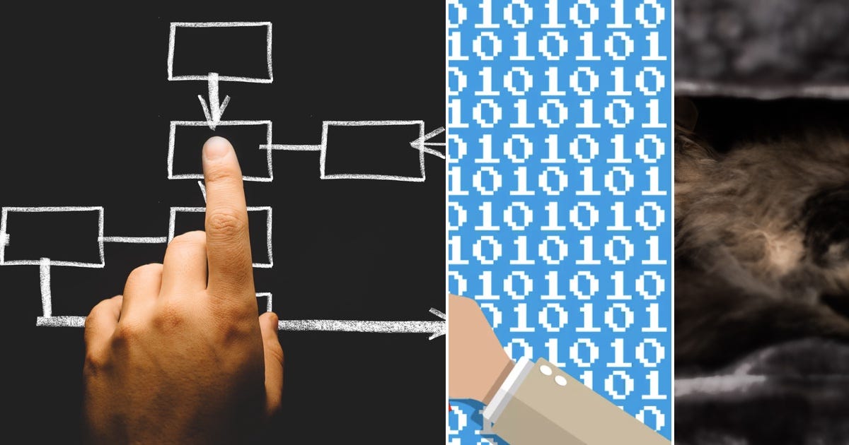 List: Ruby | Curated by Giovanni Juliao | Medium