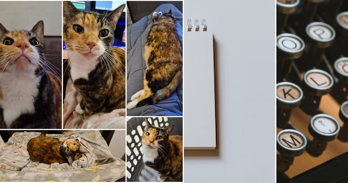 List: Misc | Curated by Kaz_DHD | Medium