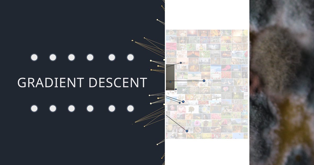 List: AI_MED/BIO | Curated by Robert Castorena, M.D. | Medium